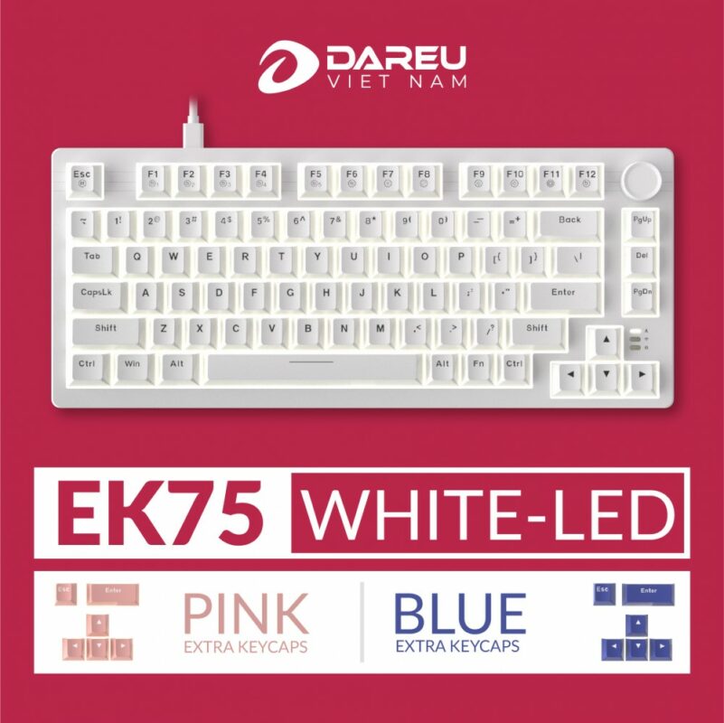 Bàn phím cơ Gaming DAREU EK75 (2 sides RGB strip, DareU DREAM sw, Type-C) - Dareu Official Store ...